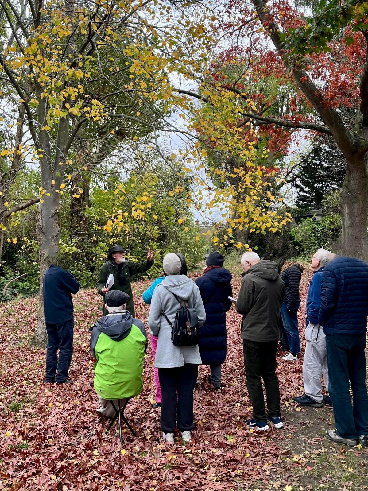International Dawn Chorus Day, Bird Walk: Sunday 3rd May 2026 ...